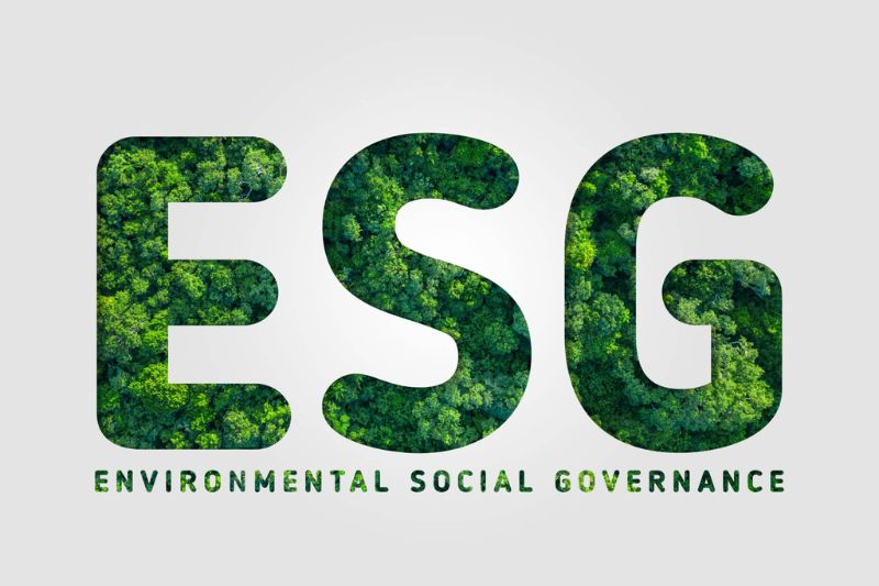 Bạn Đang Muốn Tìm Hiểu Về ESG Giải Pháp Văn Phòng | Sản Phẩm